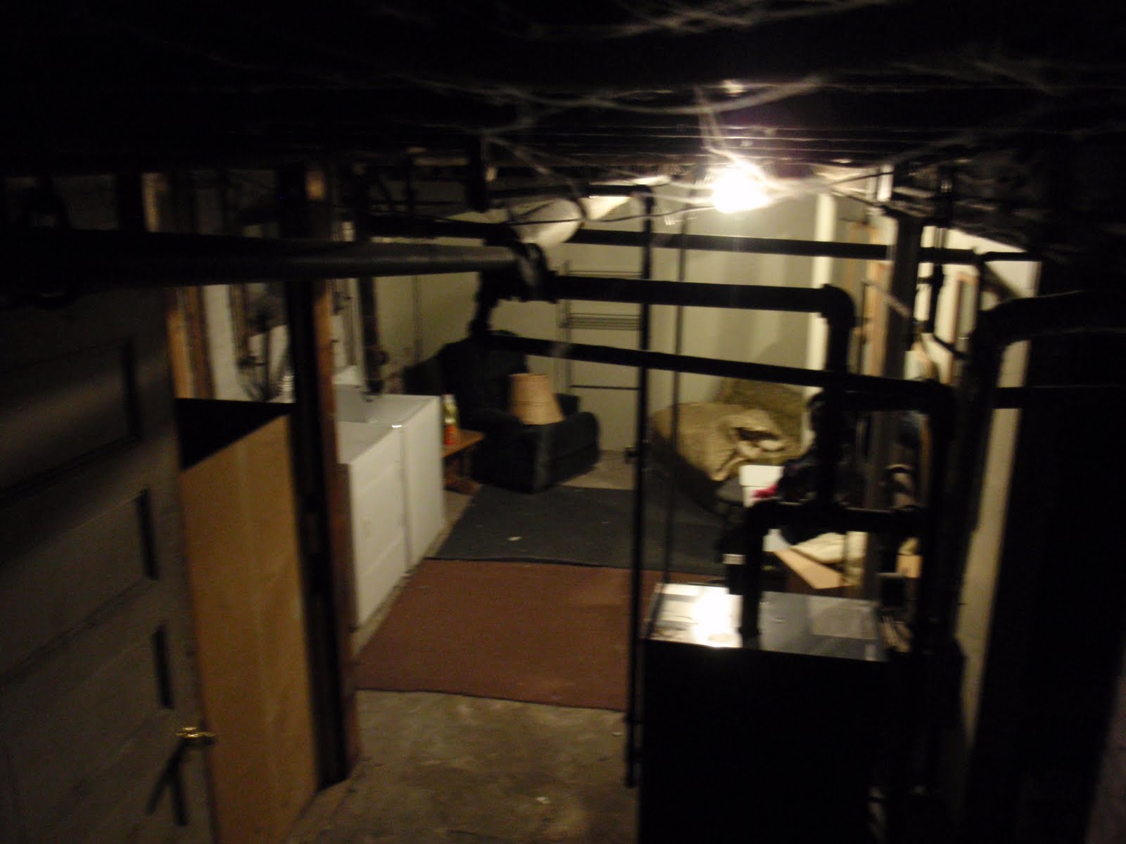picture/day: Scary basement