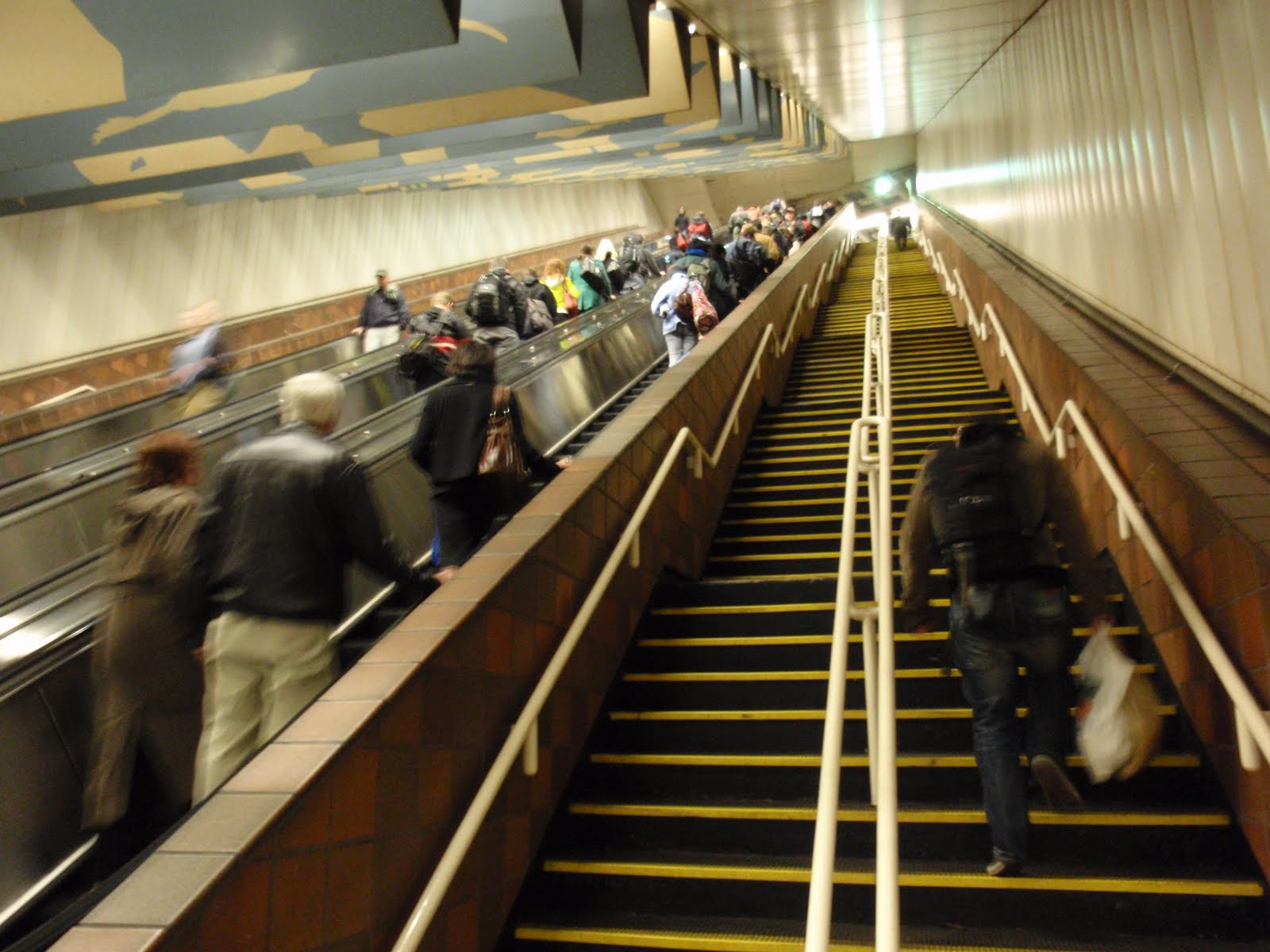 picture/day: May 17, 2010