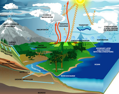 Ecology: Biological and Geochemical processes