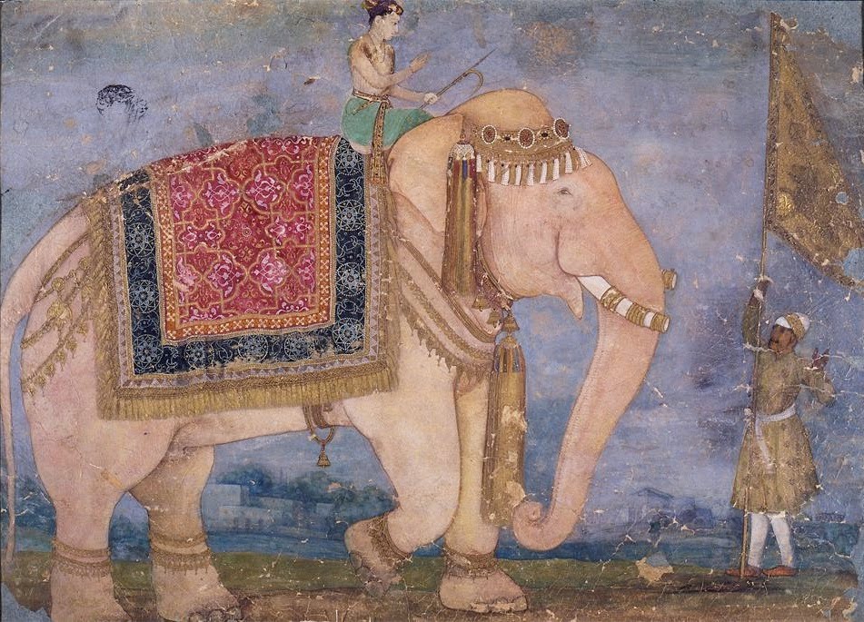 Bichitr - JungleKey.in Image