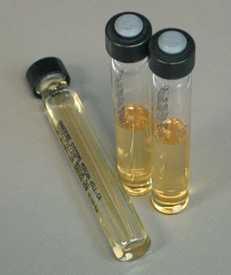 Bacterial Culture Media: classification, types and uses