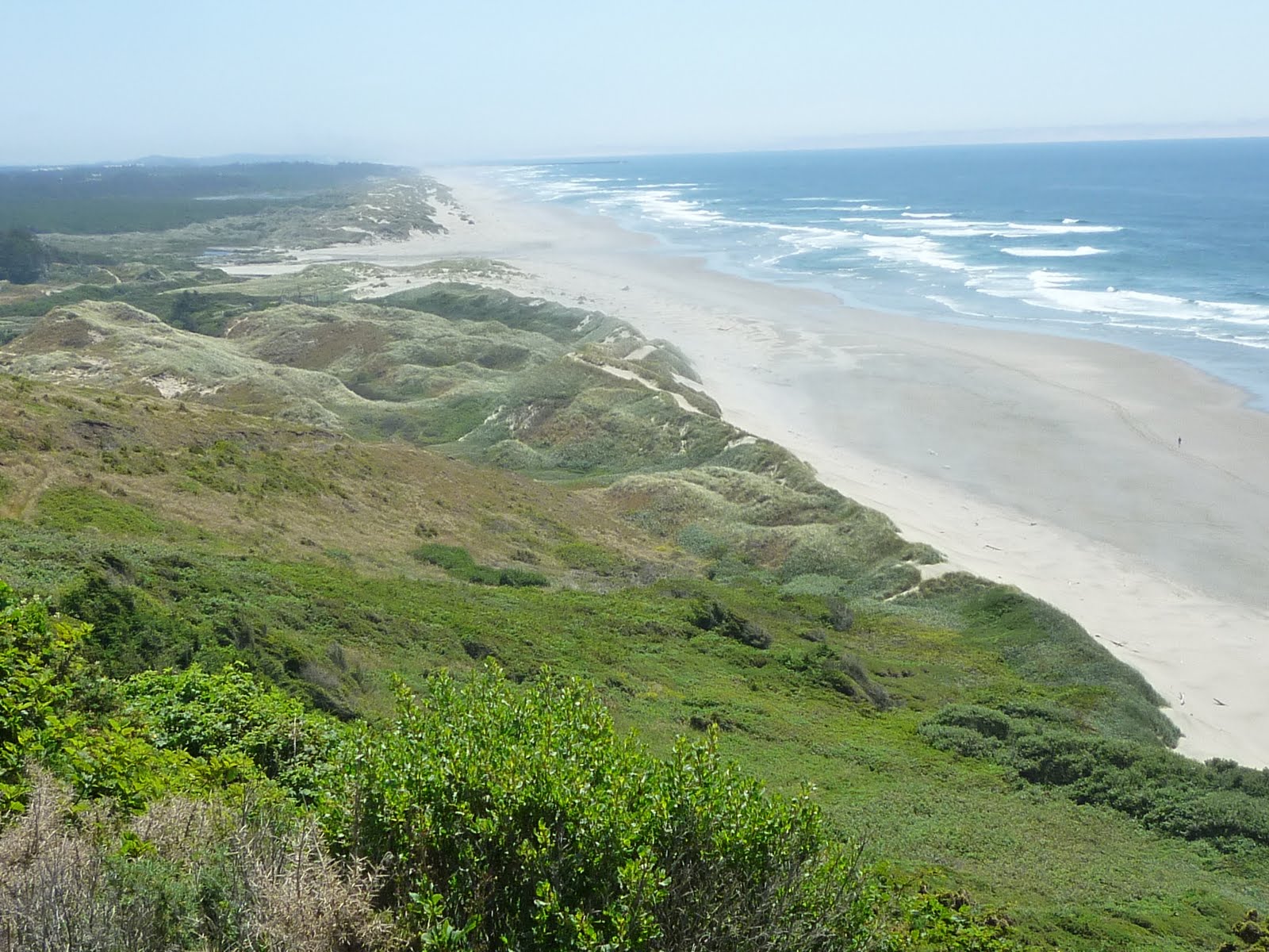 Adventures of Jeff and Jody: Scenes of the Oregon Coast - Hwy 101