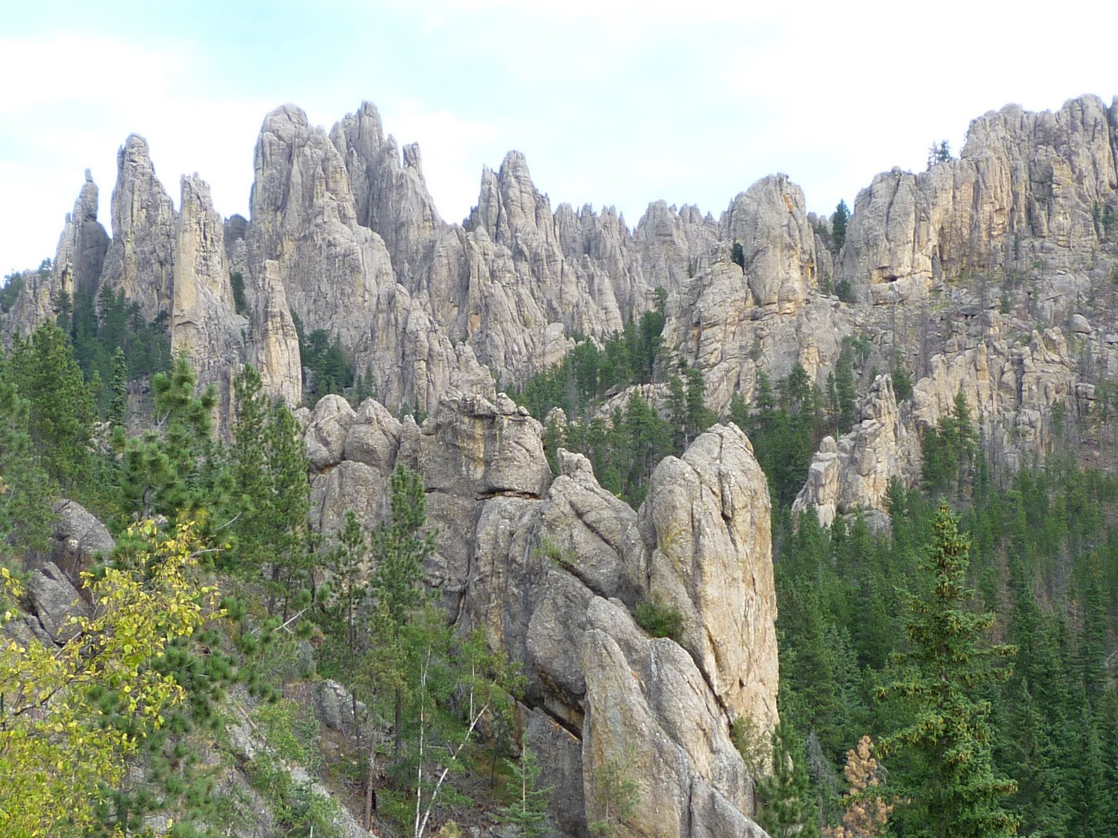 Adventures of Jeff and Jody: Custer State Park, Custer, S. Dakota