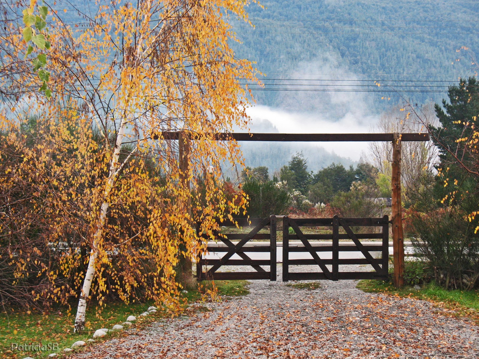Patagonia - My Place in the World: Welcome to LAGO PUELO