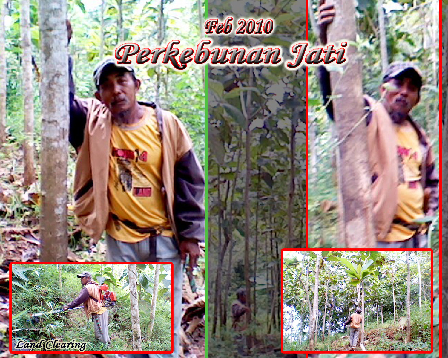 atlantis: Berkebun Jati