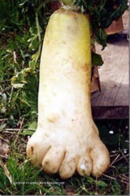 Mutated Fruits & Veggies | Noelizm