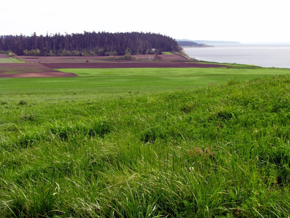 Ebey's Forever: Painting a prairie spring portrait