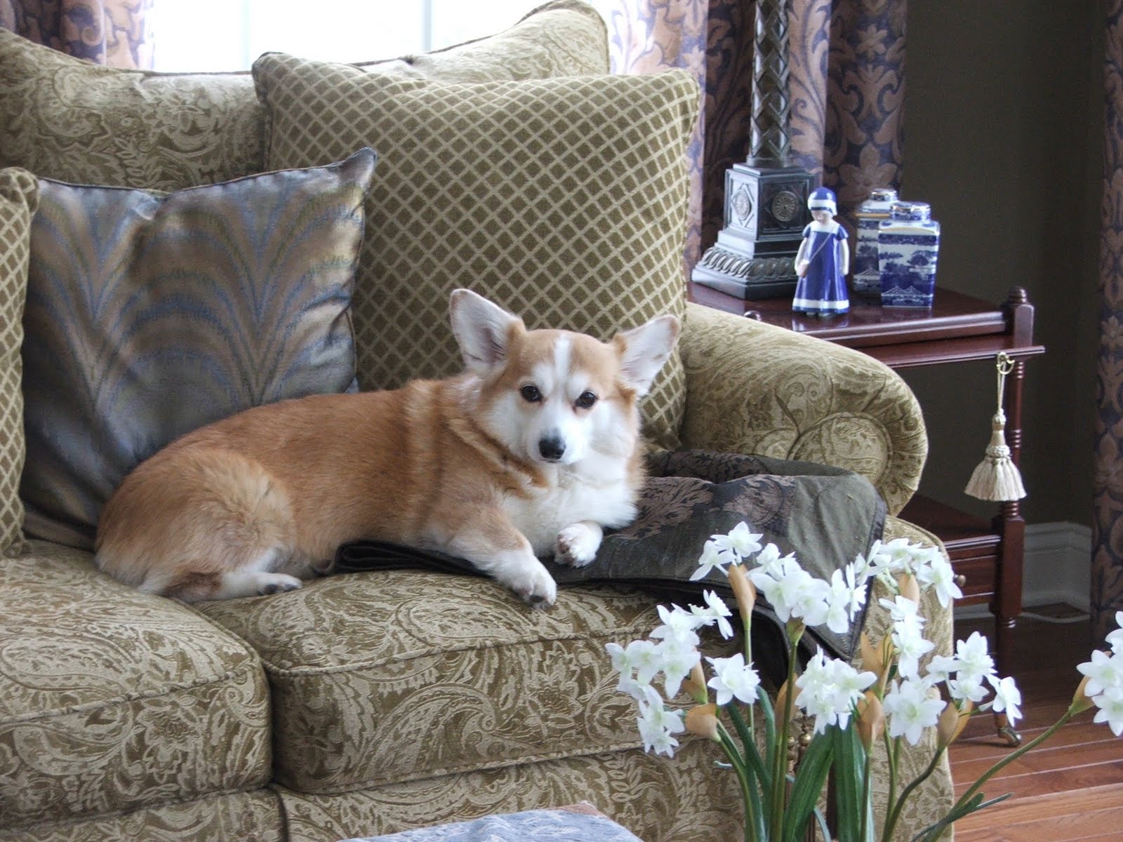 Smiling Sally: Blue Monday - Corgi with Blue
