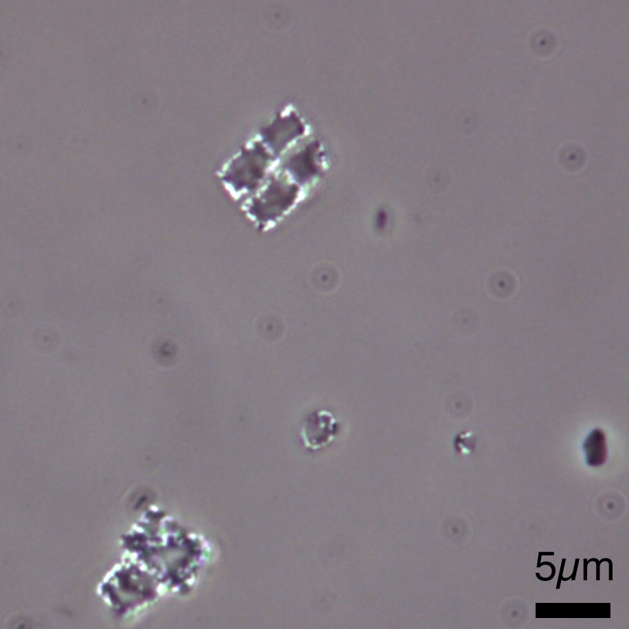 10/23/10 ~ Science World