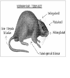 INTEGRATED PEST MANAGEMENT