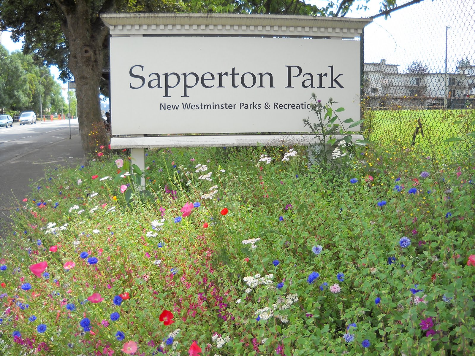 Down by the River: Sapperton Park