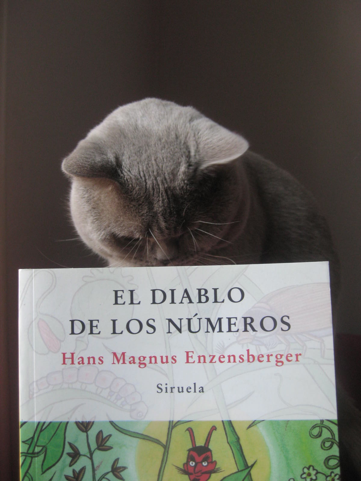 Cat Byron Lee: "El diablo de los números", de Hans Magnus Enzensberger