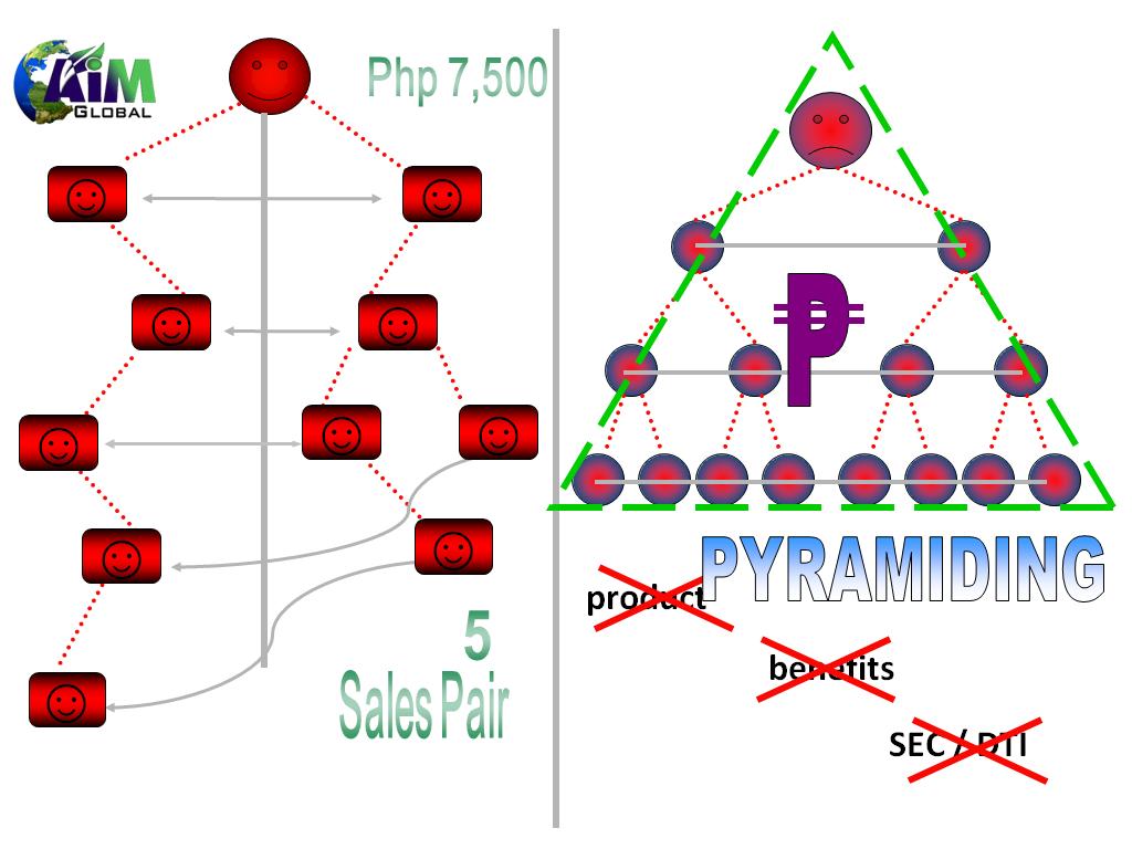 JAMES AUDITOR plus AIM GLOBAL INC.: Marketing plan