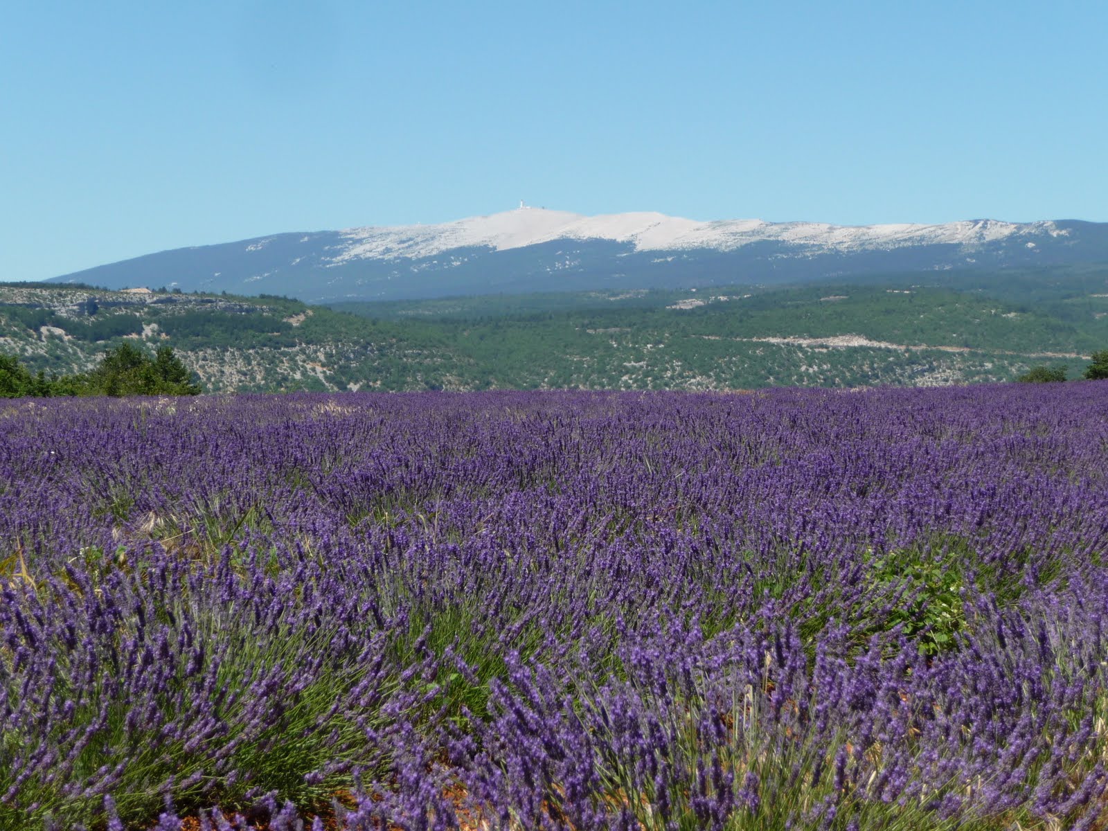 Provence Tayl's: Awesome scenery