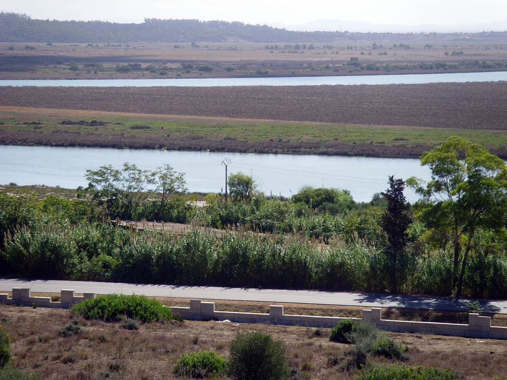 THE VIEW FROM FEZ: POSTCARD FROM LARACHE
