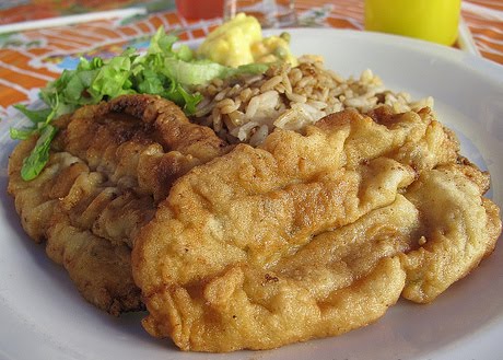 A Bajan Tour Girl Exploring Barbados: The Barbados Flying Fish. The ...