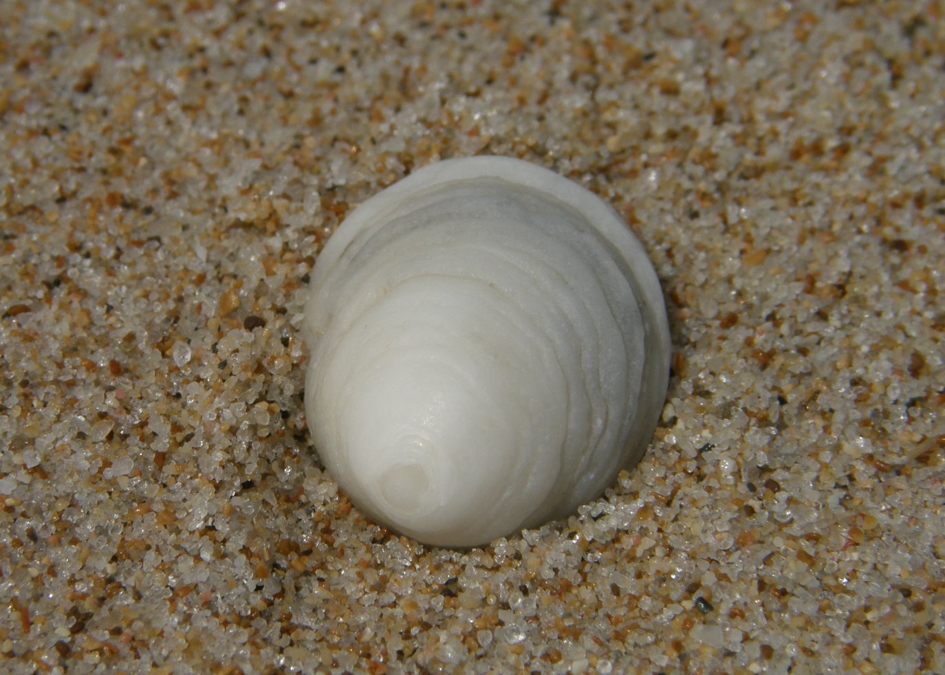 A Bajan Tour Girl Exploring Barbados: Bathshbea Barbados, Sea, Sun ...