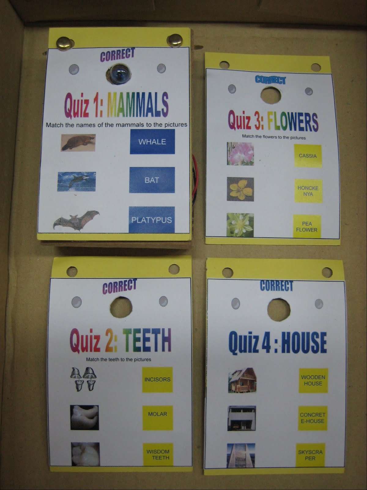 Design and Technology: Electronic Quiz (Modeling)