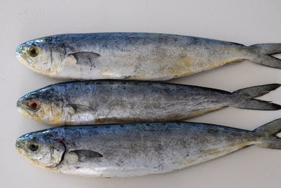 Anecdotes from Malta: Another authentic Maltese recipe - Torta tal ...