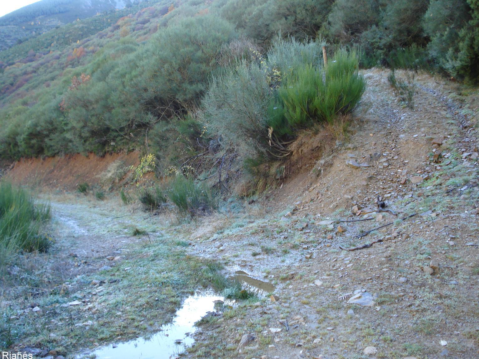 la fuente del abedul: Ascensión al Cueto Ancino