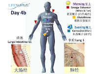 Patch for Health: Patching Protocol - 5 Days Detox