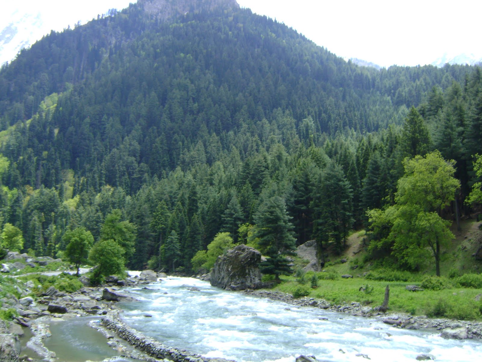 Pages from my mind...: Sonmarg Pictures