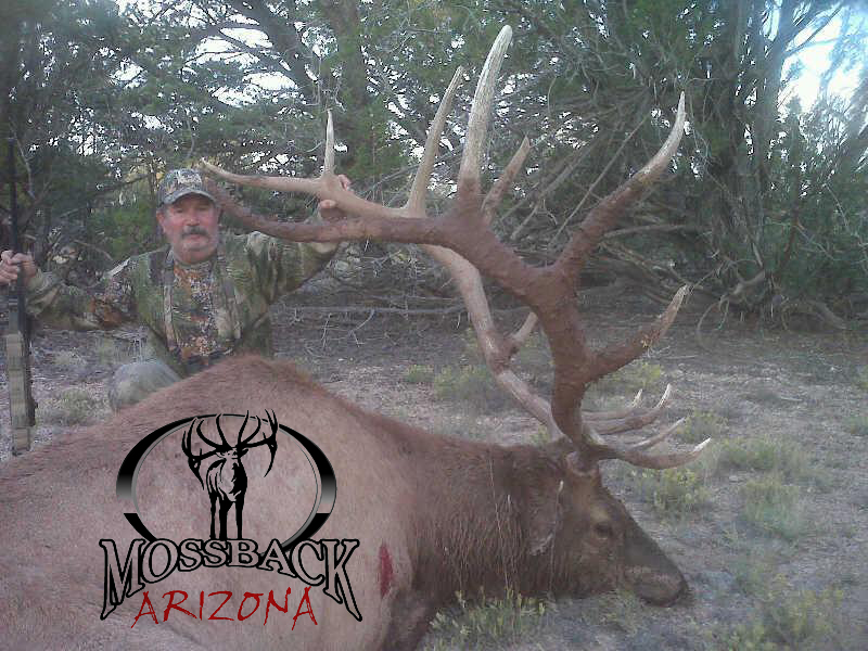 A3 Trophy Hunts LLC : Team Mossback Arizona's 2010 Elk Season ...