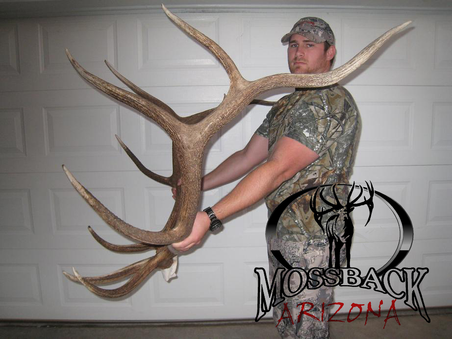 A3 Trophy Hunts LLC : Team Mossback Arizona's 2010 Elk Season ...