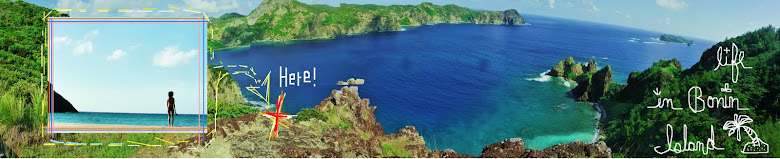 life in bonin island: Bonin Island