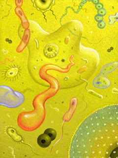 Domesticated Animals: Ethics & Implications: Germs of Animal Origins ...