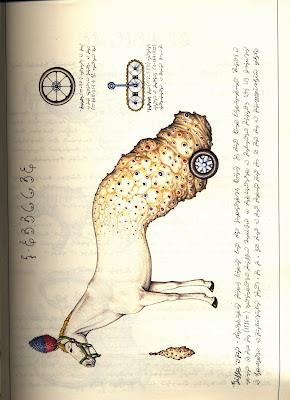 Secret Lexicon: Codex Seraphinianus