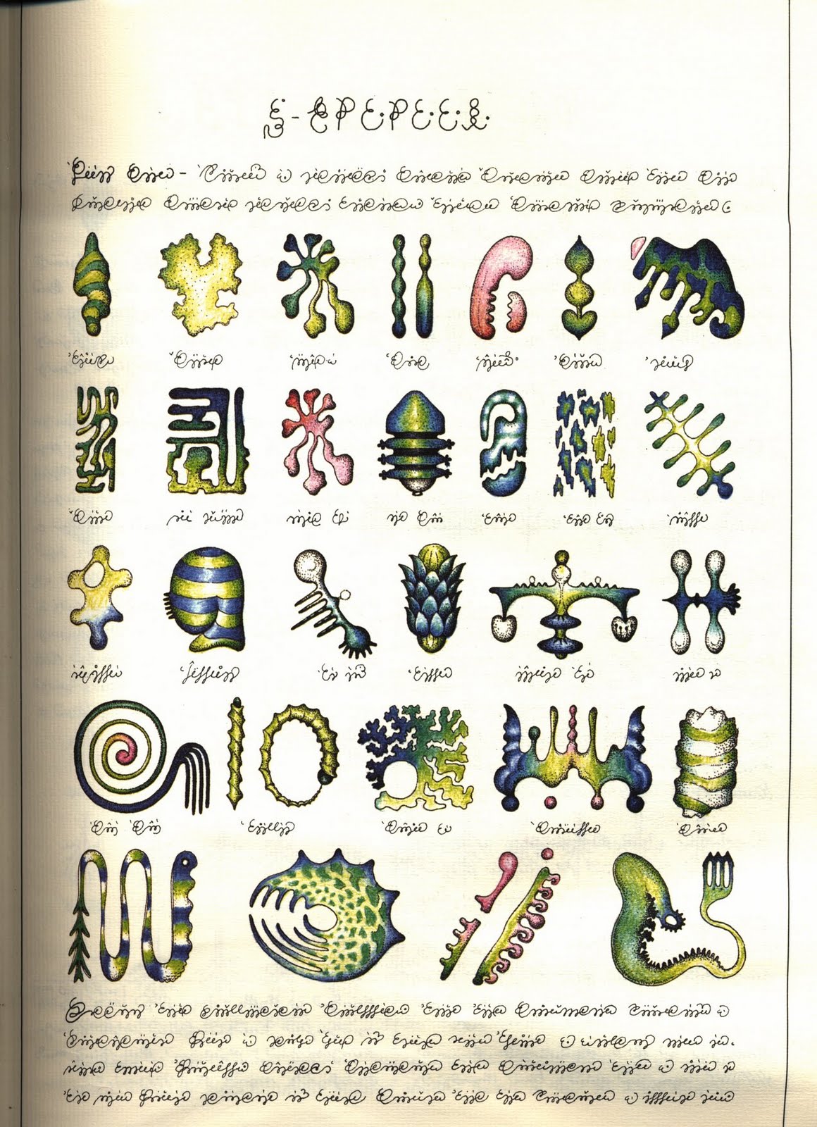Secret Lexicon: Codex Seraphinianus