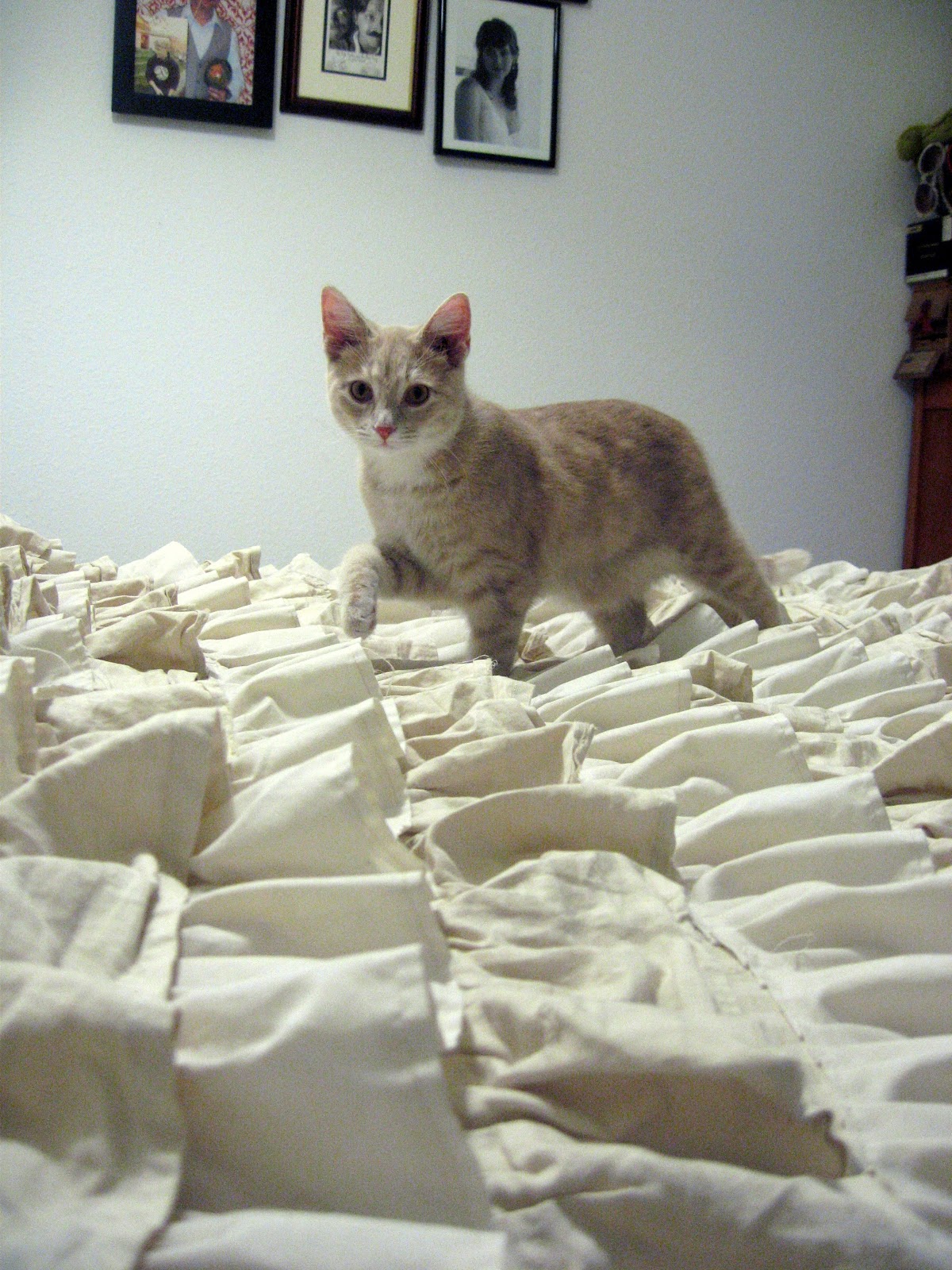 Mari Makes: Project - Ruffles Ruffles Everywhere