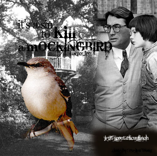 Just a bit obsessed with TKAM