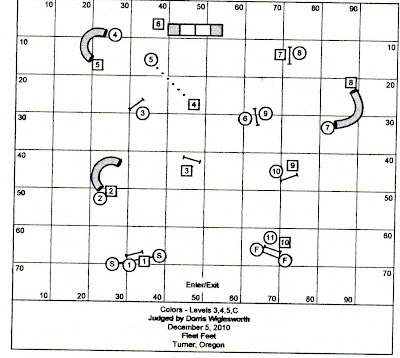 Danes Can Q: Fleet Feet December CPE Agility Trial