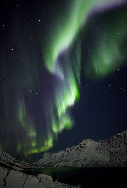 Bercerita kepada orang lain: Beauty of Aurora