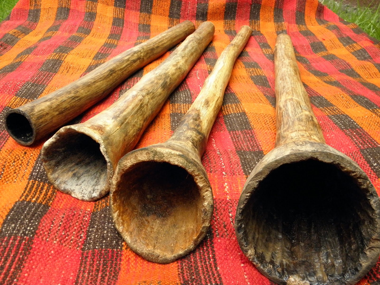 DiDjeriDoo ArgentinA in Österreich und Deustchland