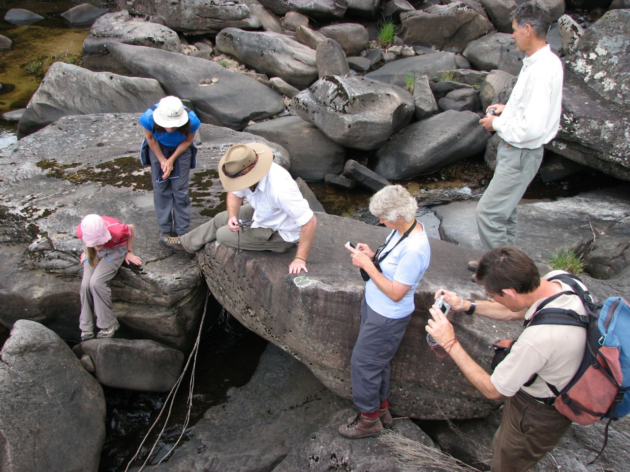 Bega Valley Bushwalkers 2010 blog
