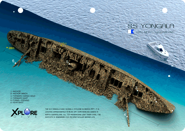 Adrian's Excellent Adventure: Shipwreck! Scuba Diving the SS Yongala