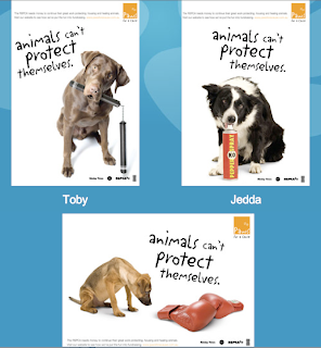 Design-Deliberation: PAWS FOR A CAUSE