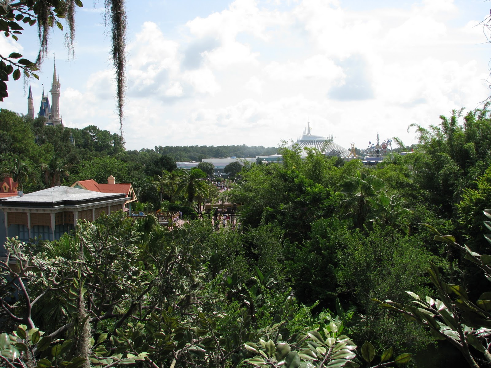 Exploring The Swiss Family Robinson Treehouse | Disney World Blog ...