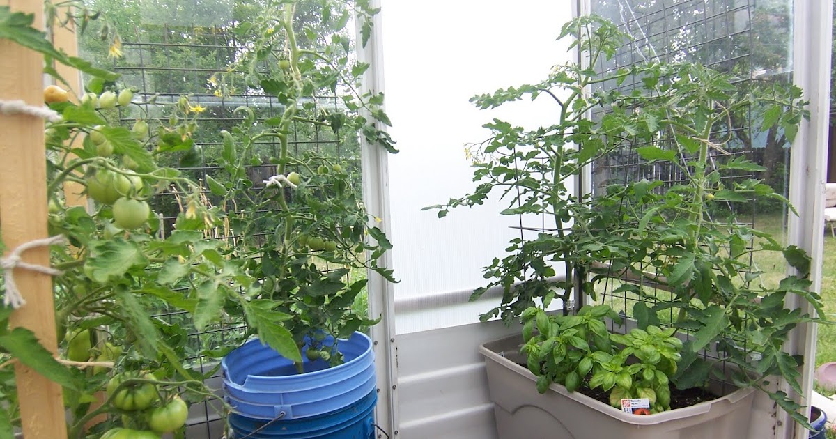 Backyard Garden : Make Self Watering Planters. Easy Wicking Containers ...