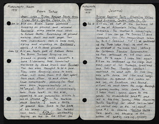 Steven's US History Blog: The Mountain Men - Diary Entry