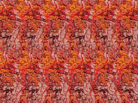 MATEMÁTICAS ELEGANTES Dionangel Ovallos Rey: Los Mejores Estereogramas ...