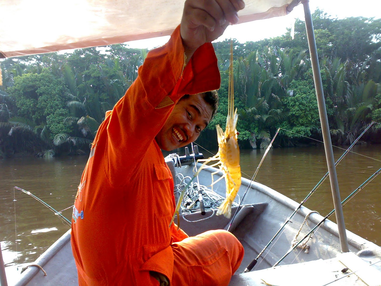 KMN Fisher: Udang Galah(jenggo)