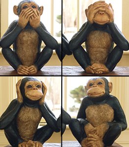 Goki: The Fourth Monkey