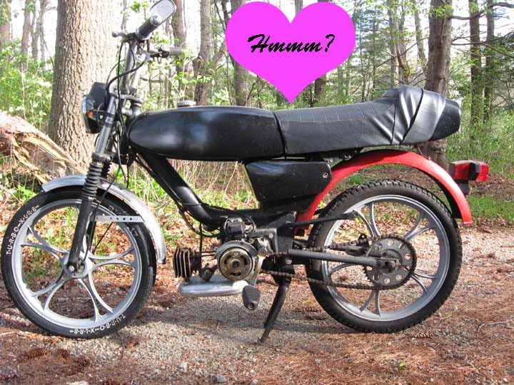 Things for sale.. | The Healthy Moped