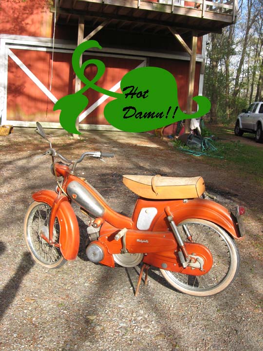 Things for sale.. | The Healthy Moped