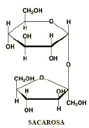 juan fernando bcdc: CARBOHIDRATOS