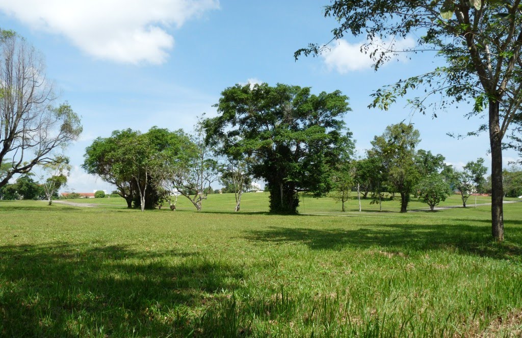 Journey to the East: Bidadari Cemetery
